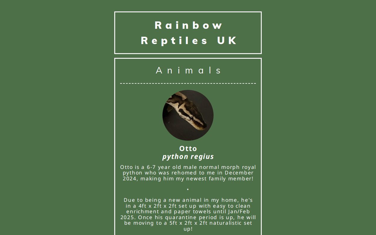 Rainbow Reptiles Animals
